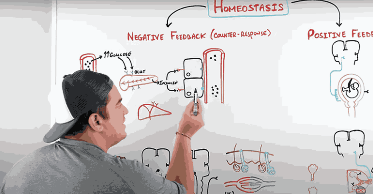 Must-Watch YouTube Channels for Every 1st Year MBBS Student!